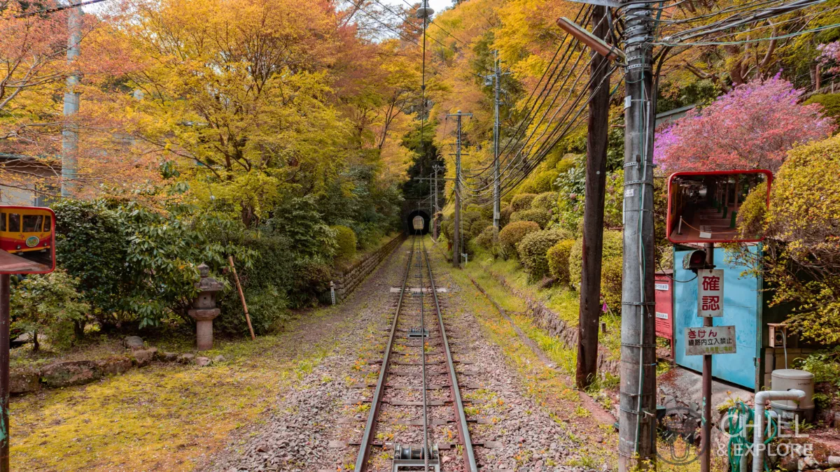 Mount Takao: An Epic Day Trip from Tokyo!